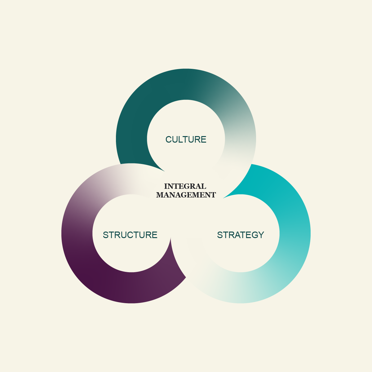 About Integ Partner | Your Strategic Advisor